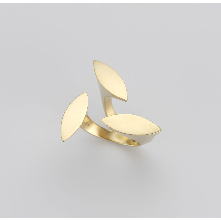 GALAPAGOS - außergewöhnlicher Damenring - Angela Hübel – Atelier Heigl